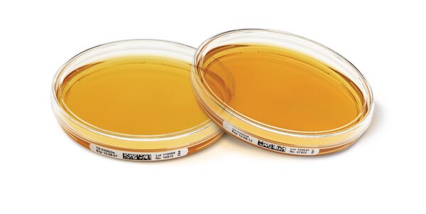 Tryptic Soy Agar - ICR 30ml | 146001